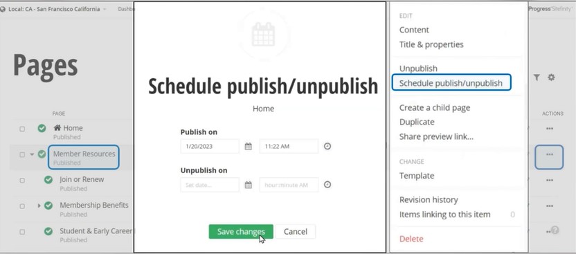 Pages - View, Edit, Publish, Unpublish